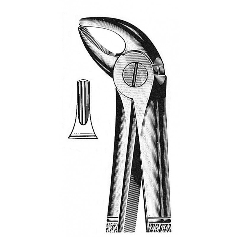 Extracting Forceps English Pattern – Uni Power Corporation