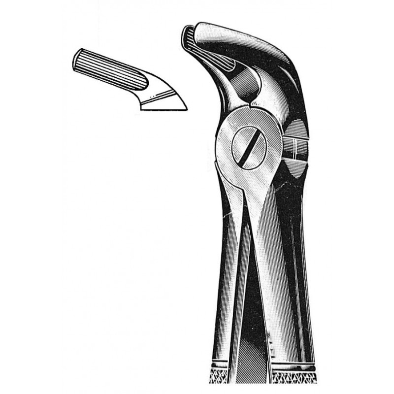 Extracting Forceps English Pattern – Uni Power Corporation